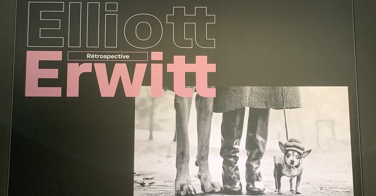 Visite de l'exposition sur Elliott Erwitt